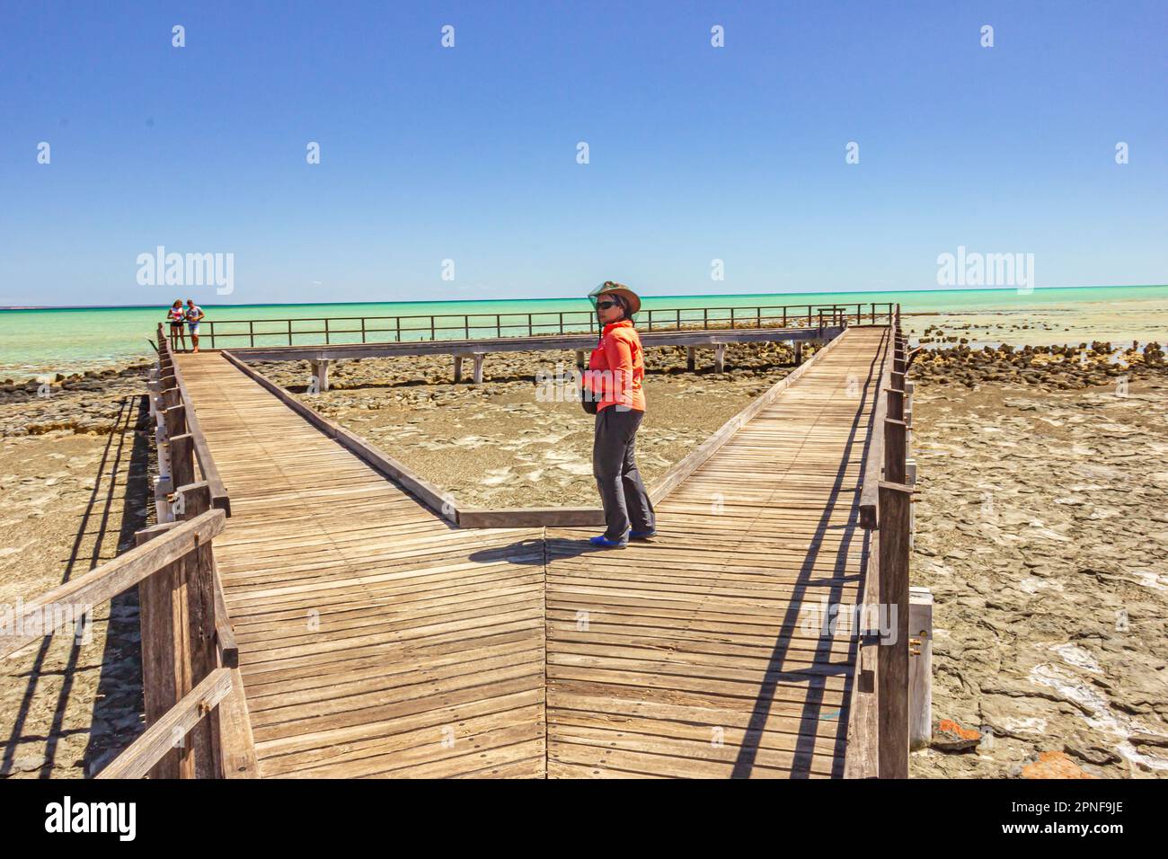 Boardwalk over stromatolites, the earth's oldest life form at Hamelin ...