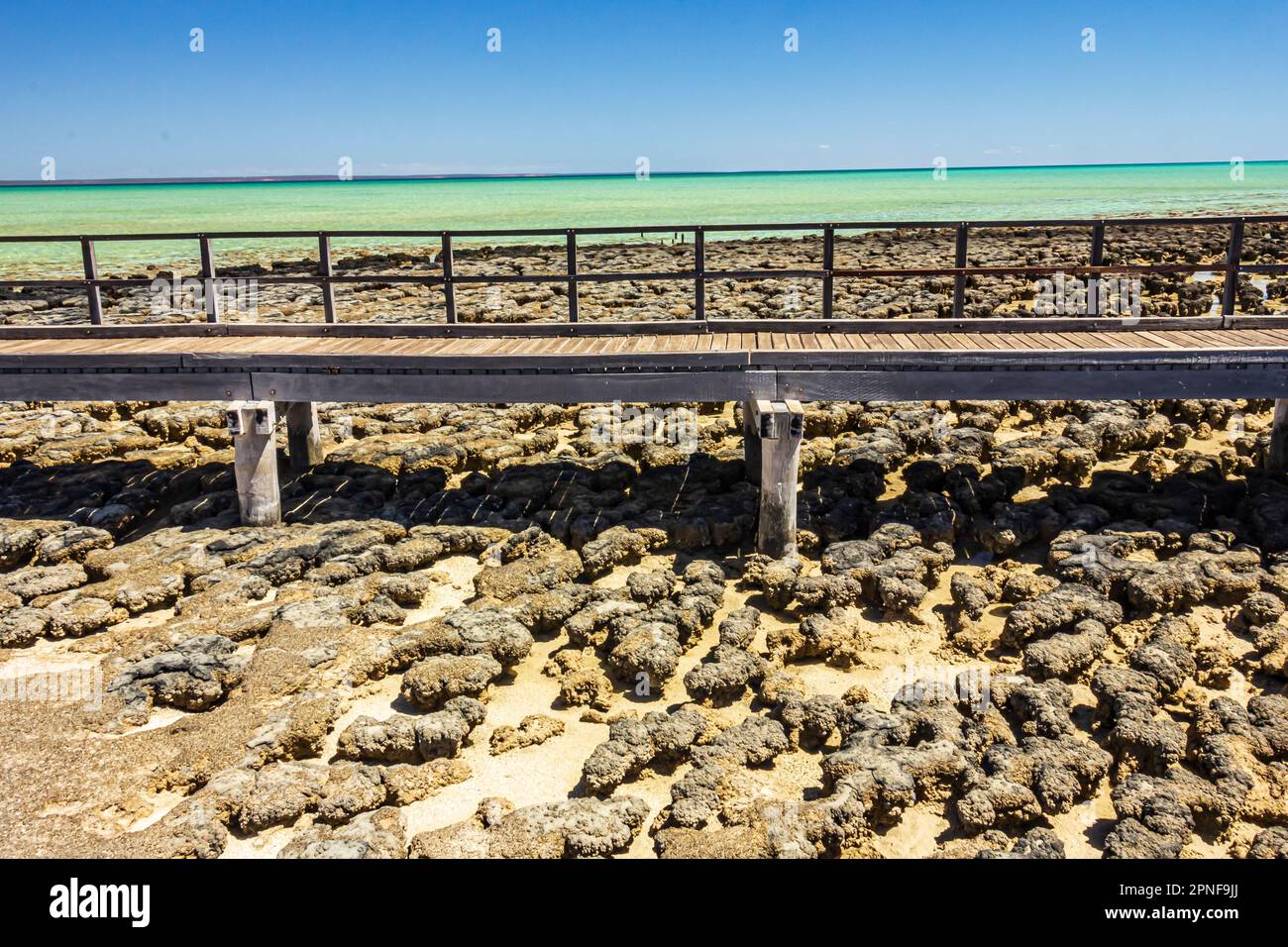 Boardwalk over stromatolites, the earth's oldest life form at Hamelin ...