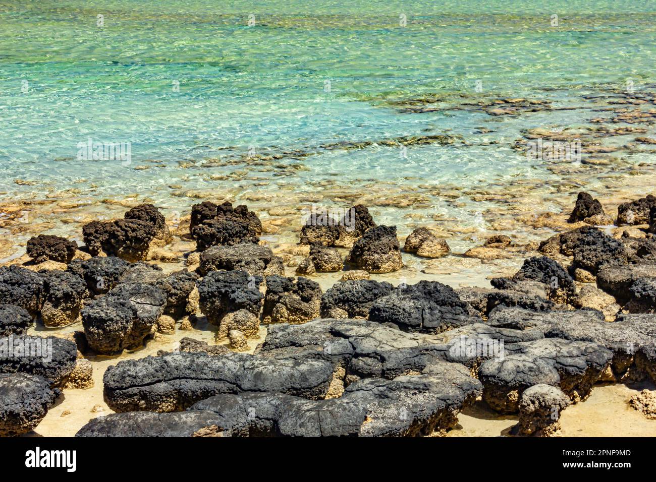 Stromatolites, the earth's oldest living lifeforms the in shallow water ...