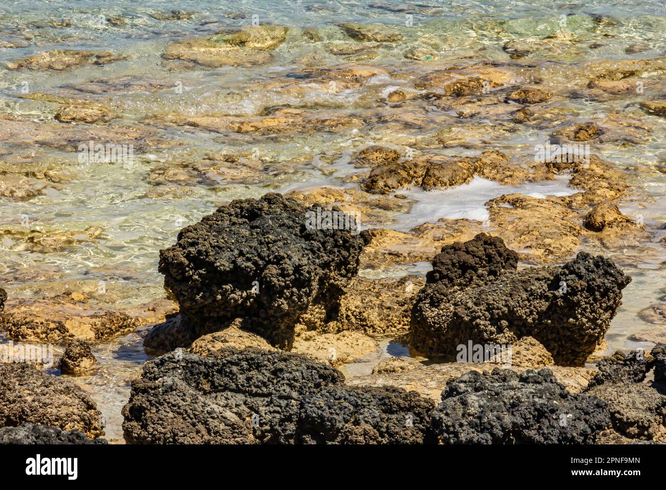 Stromatolites, the earth's oldest living lifeforms the in shallow water ...