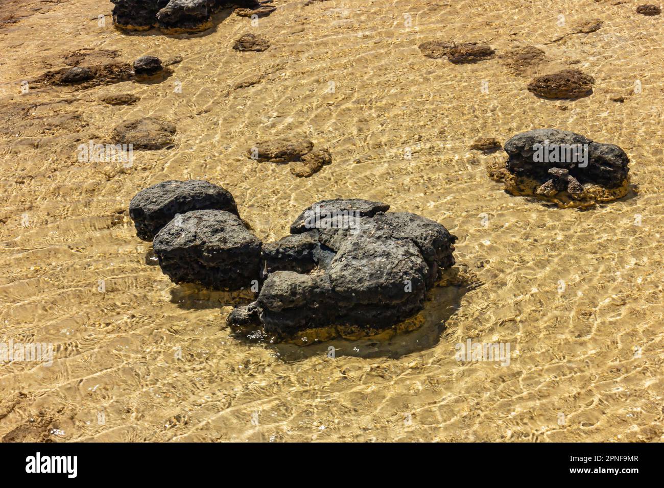 Stromatolites, the earth's oldest life form in the shallow water of ...