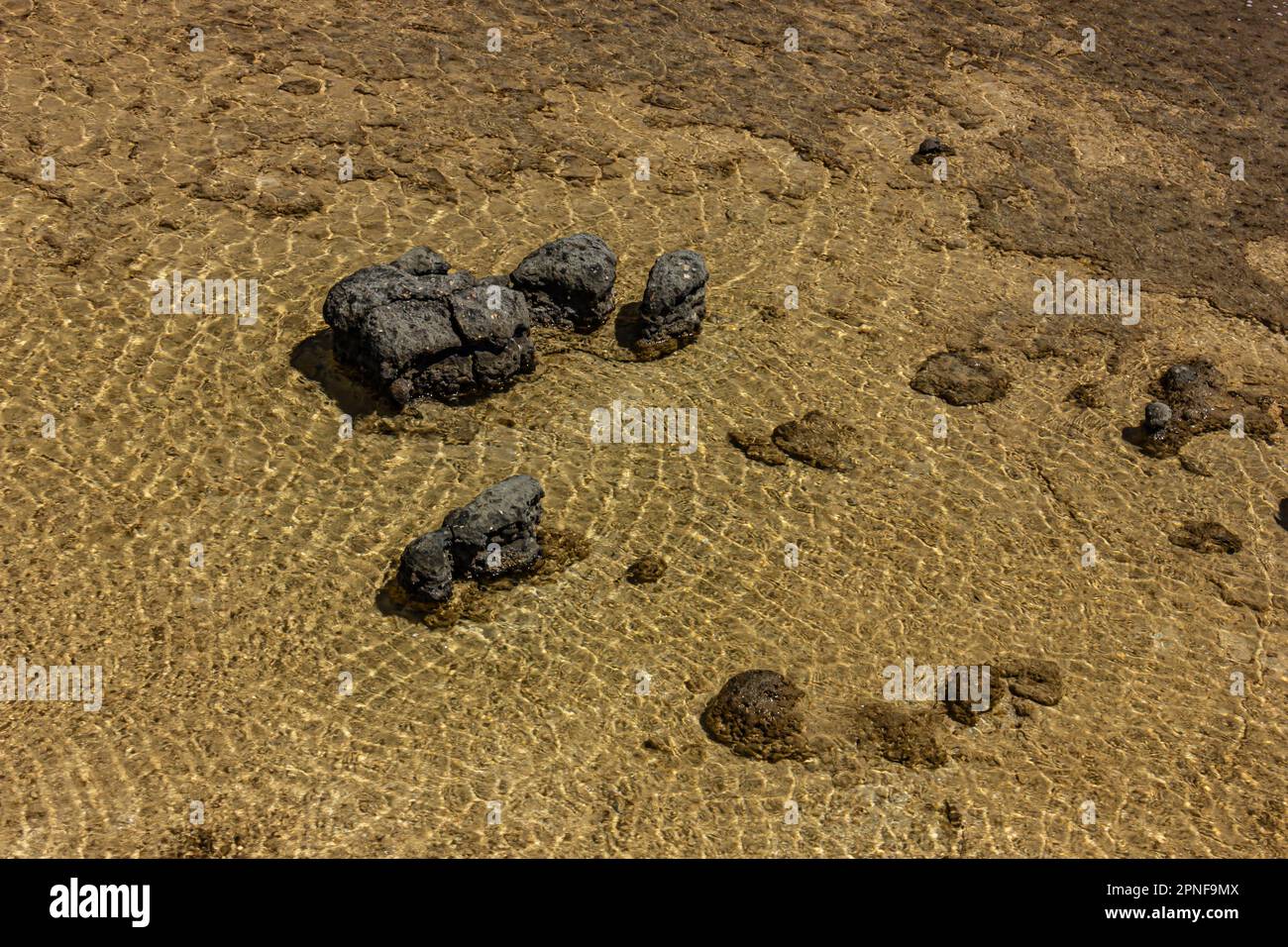Stromatolites, the earth's oldest life form in the shallow water of ...