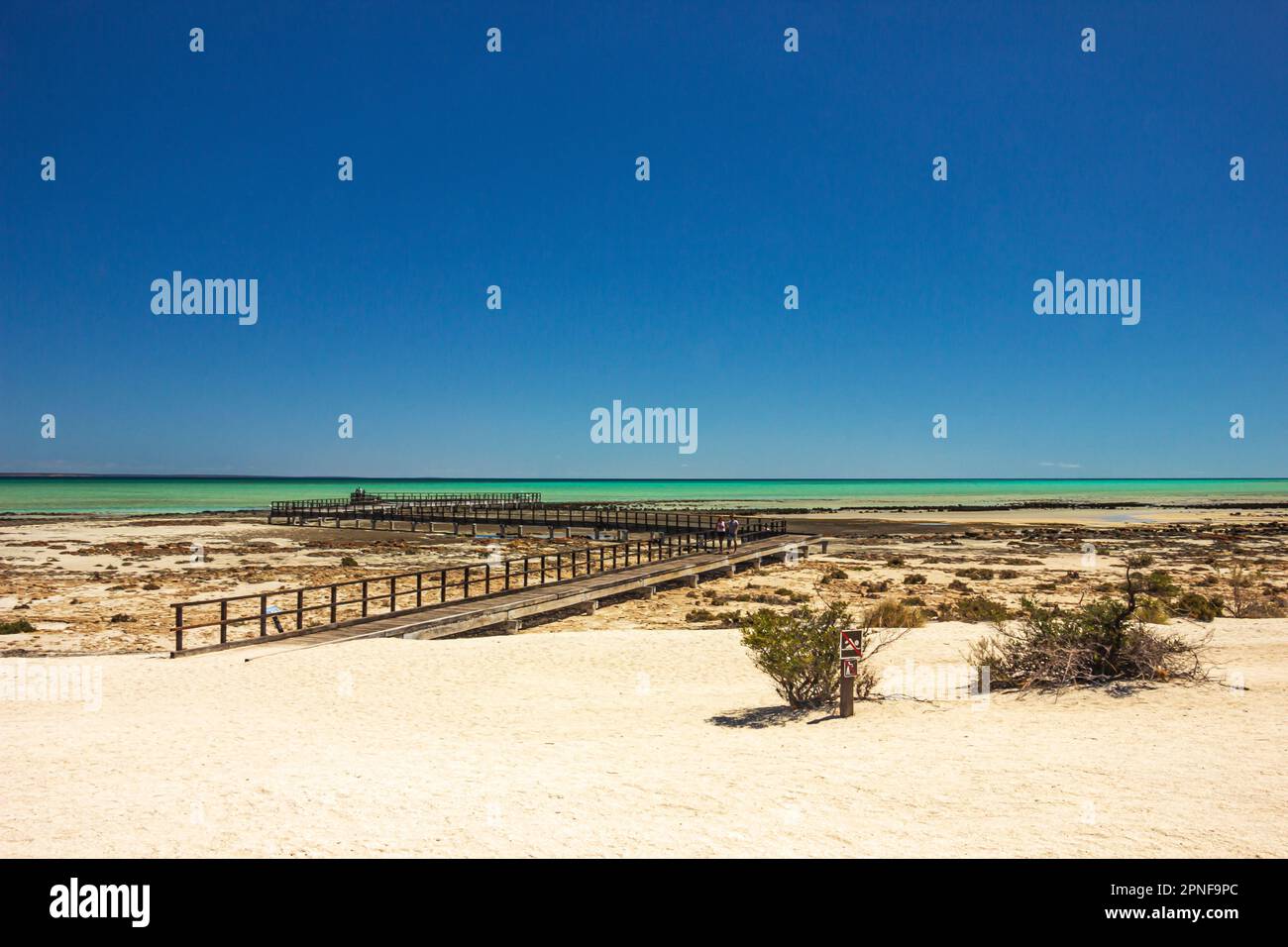 The view of Hamelin Pool Beach with boardwalk over stromatolite ...