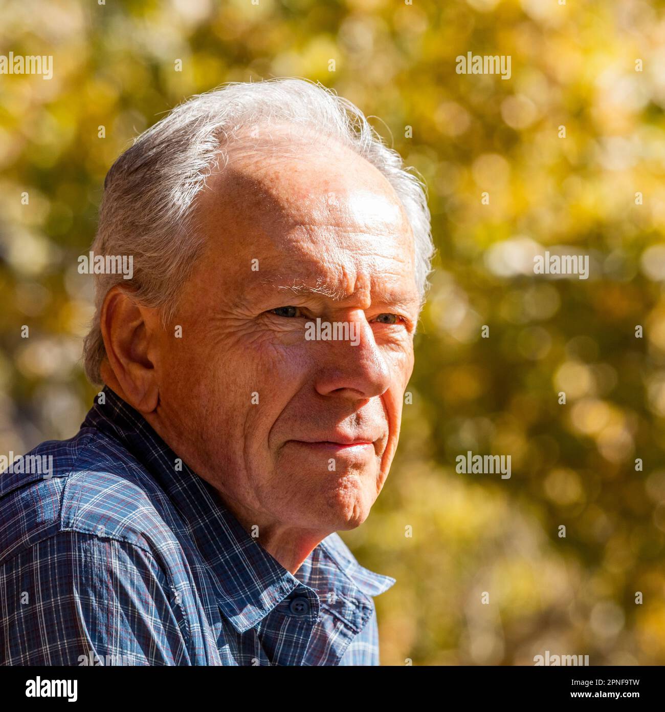 Side view senior man in hi-res stock photography and images - Alamy