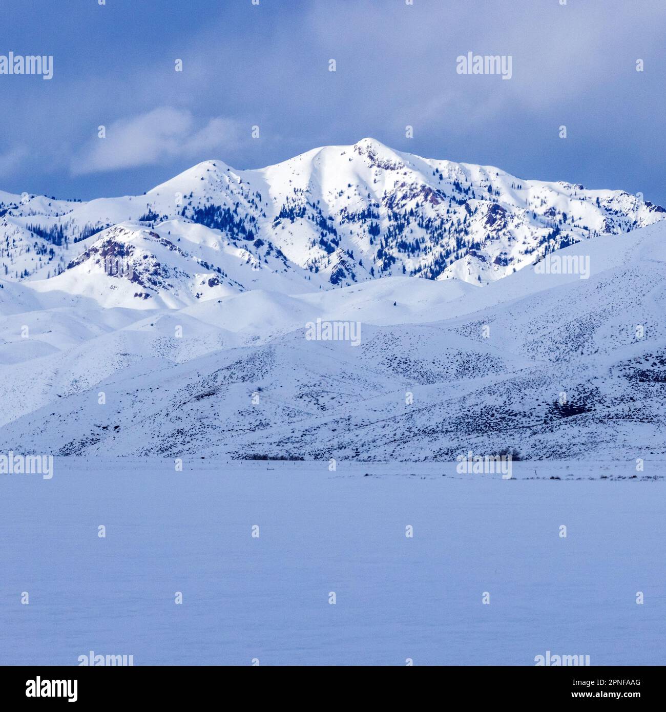 Winter landscape in nature hi-res stock photography and images - Alamy