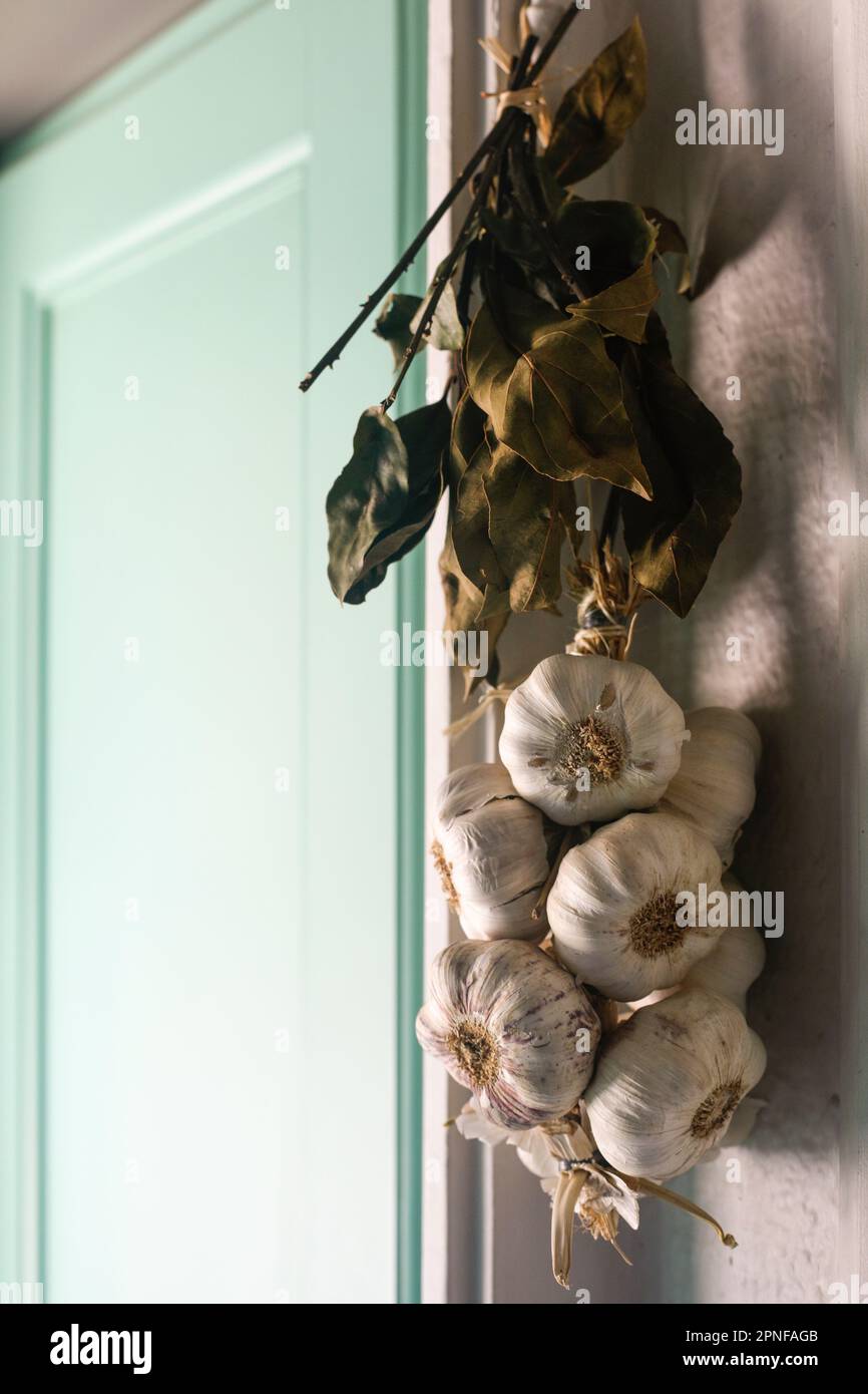 Kitchen life hi-res stock photography and images - Alamy