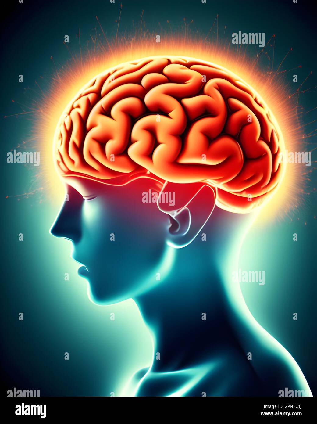 Illustration of person with a peaceful face and a glowing brain Stock ...