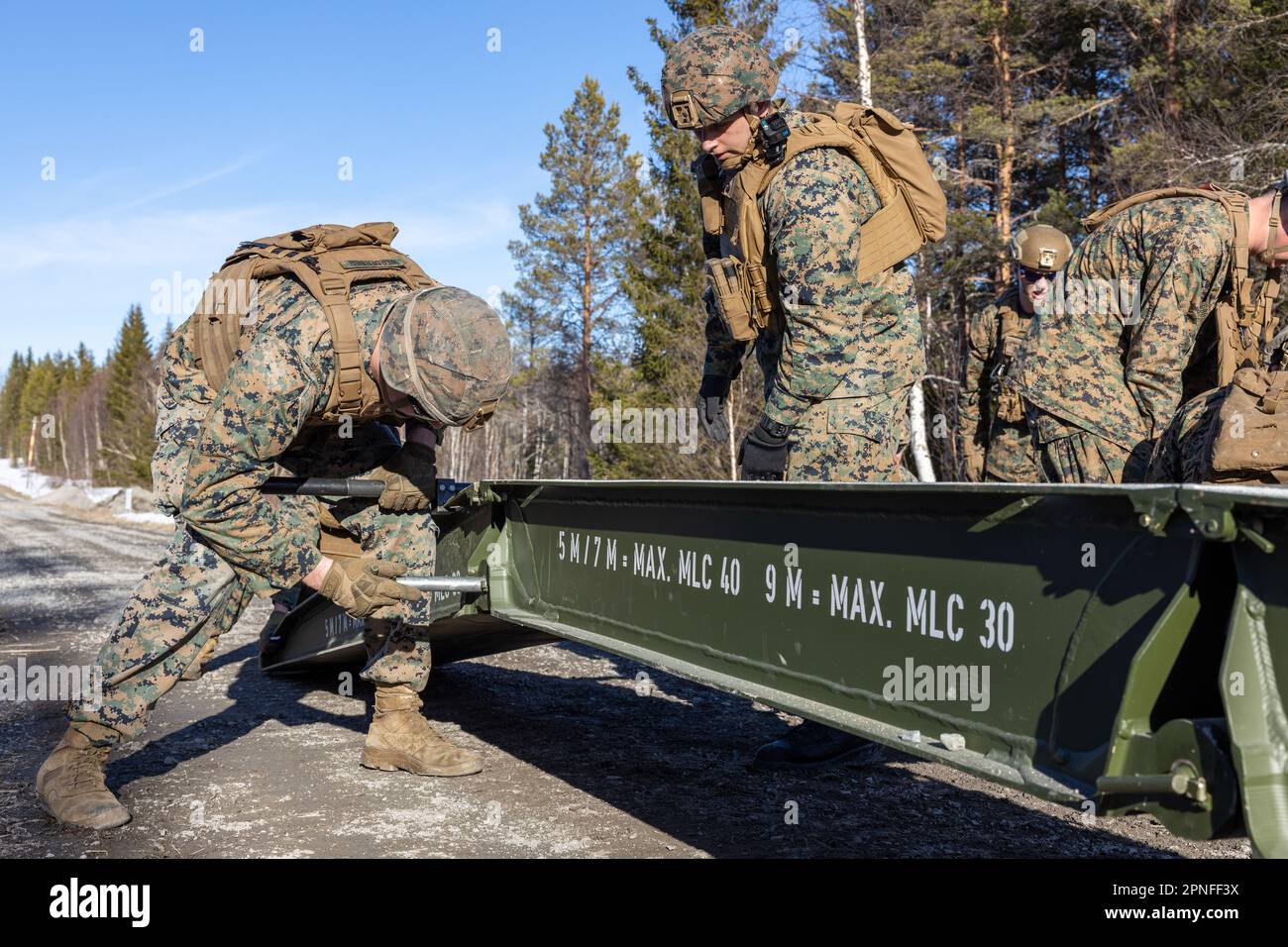 U.S. Marines with 2d Combat Engineer Battalion, 2d Marine Division ...