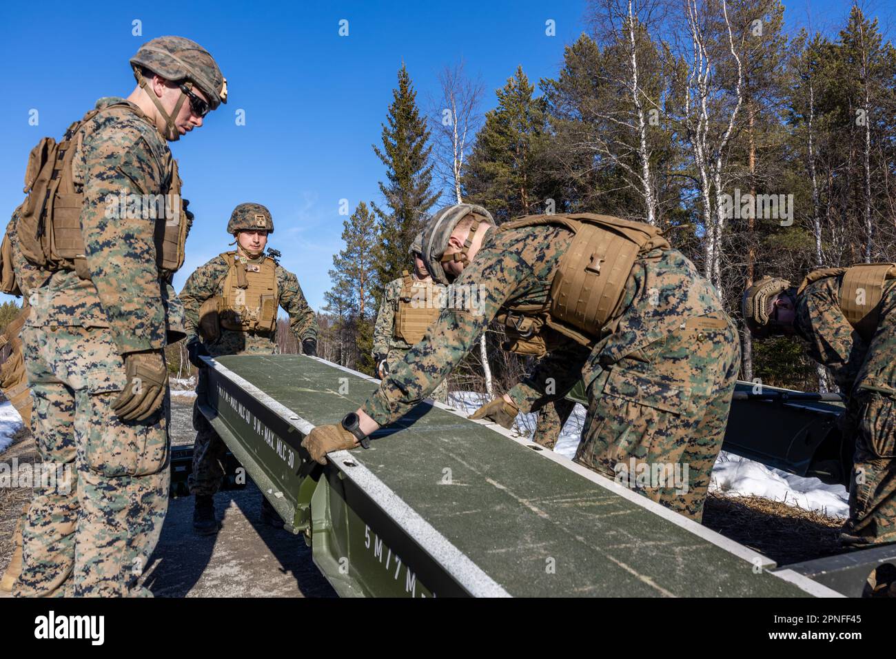 U.S. Marines with 2d Combat Engineer Battalion, 2d Marine Division ...