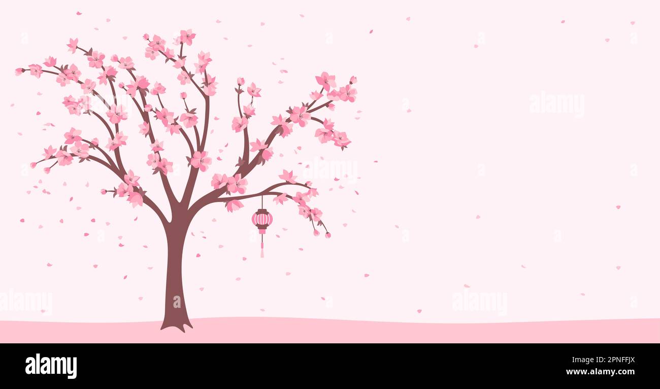 Sakura cherry blossom tree banner, template or card. Elegant Japanese ...