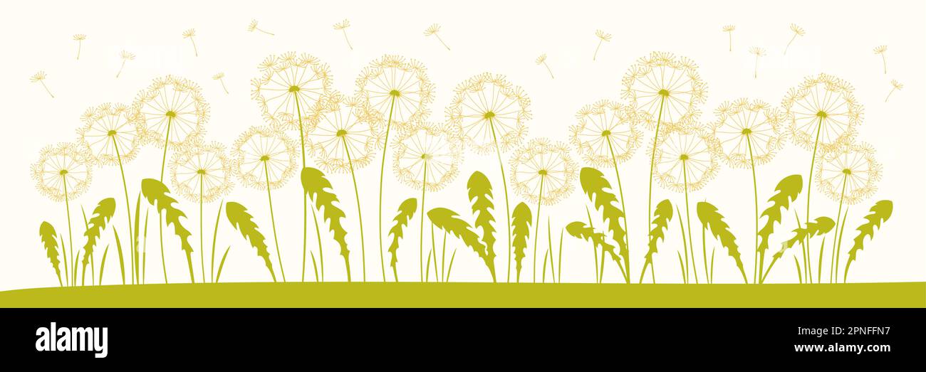 Dandelion summer illustration with flying seeds in meadow. Abstract ...