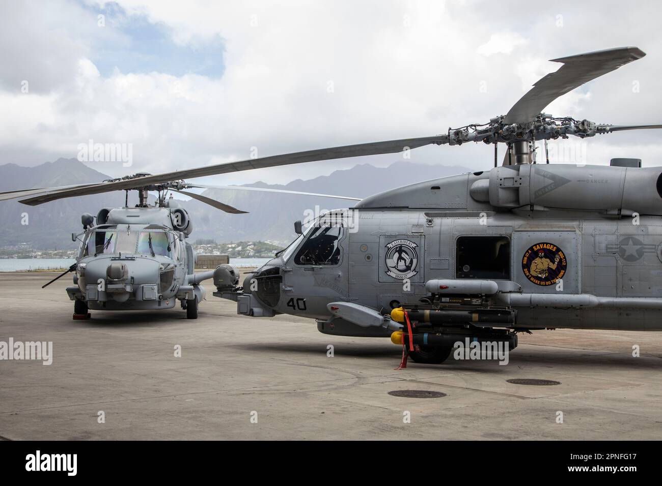 Two U.S. Navy MH-60R Sea Hawks assigned to Helicopter Maritime Squadron ...