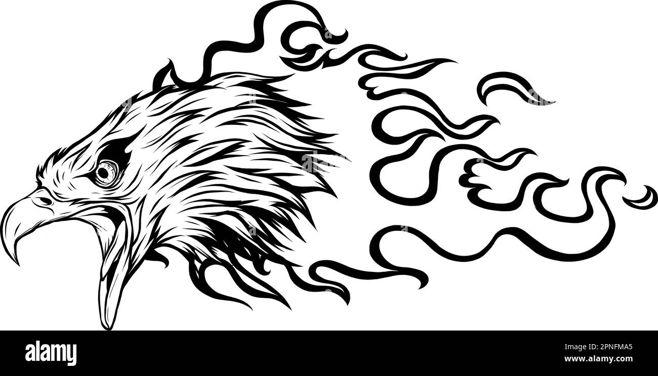 vector illustratio of monochrome head eagle with flames on white ...
