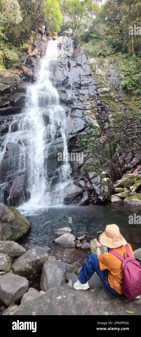 The Forest, trail, set, road sign, signage, forest trail Stock Photo ...