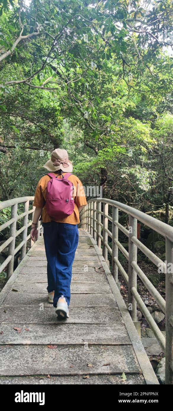 The Forest, trail, set, road sign, signage, forest trail Stock Photo ...