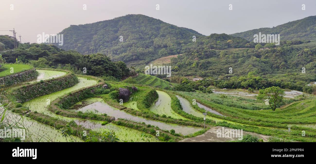 The Forest, trail, set, road sign, signage, forest trail Stock Photo ...