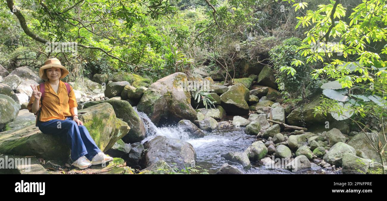 The Forest, trail, set, road sign, signage, forest trail Stock Photo ...