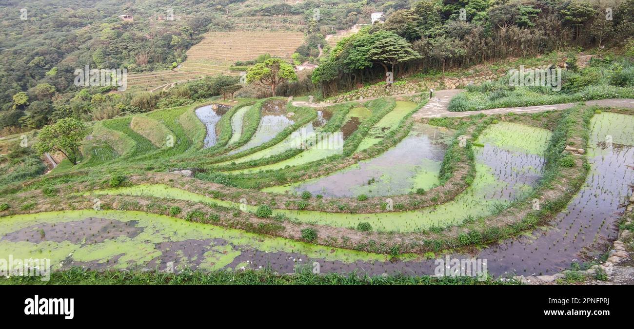 The Forest, trail, set, road sign, signage, forest trail Stock Photo ...