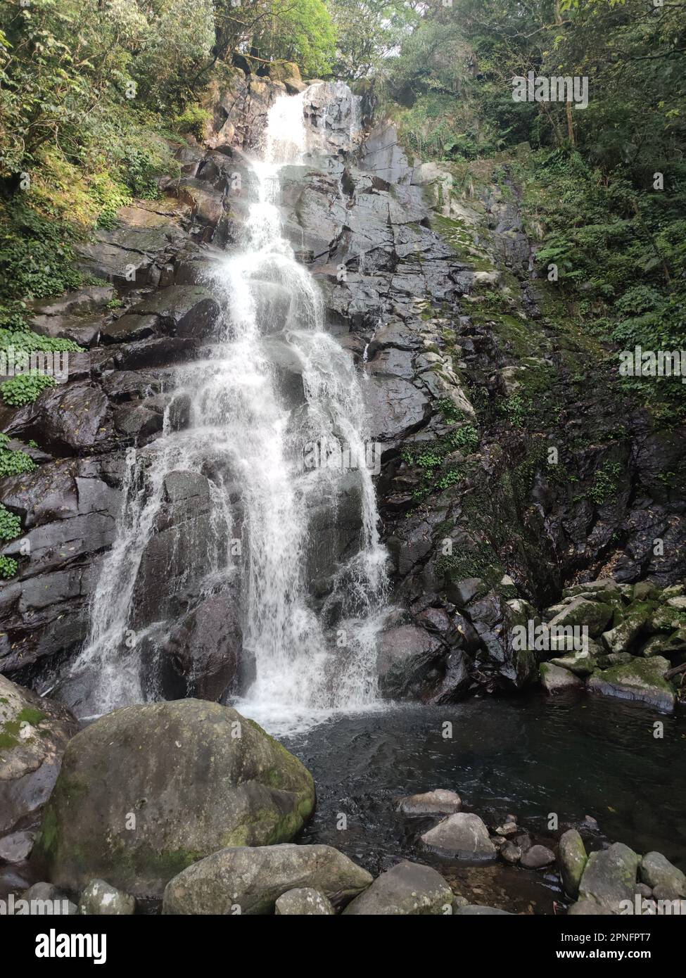The Forest, trail, set, road sign, signage, forest trail Stock Photo ...