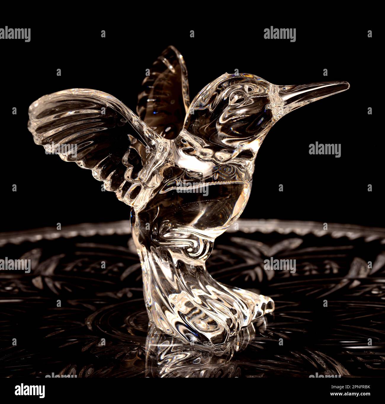 Crystal Hummingbird isolated over a black background Stock Photo - Alamy Crystal Hummingbird isolated over a black background Stock Photo - Alamy