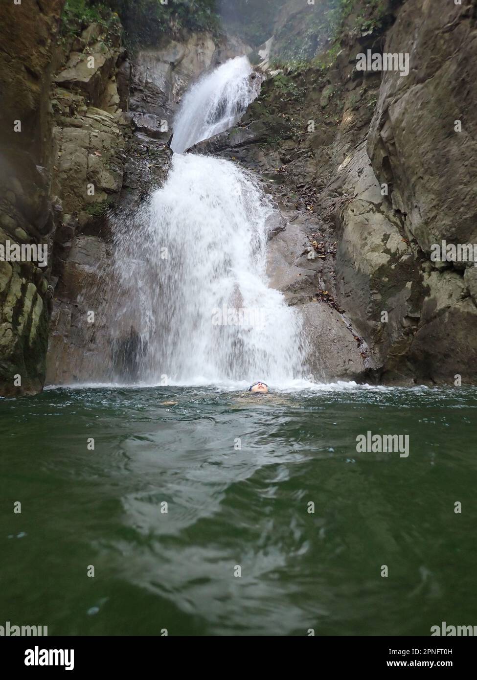 Experience the breathtaking beauty of a tropical waterfall nestled in ...