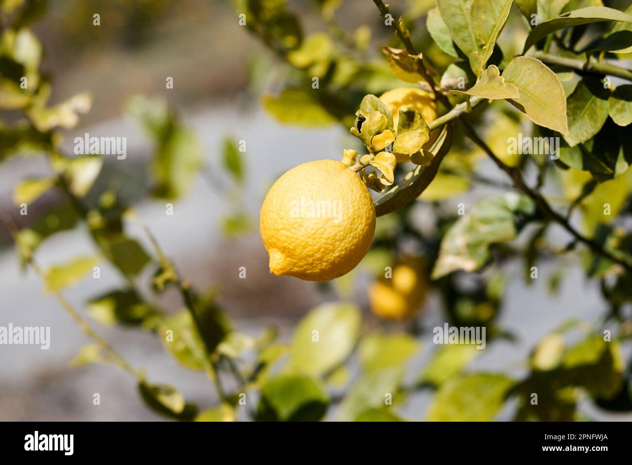 Setouchi photography hi-res stock photography and images - Alamy