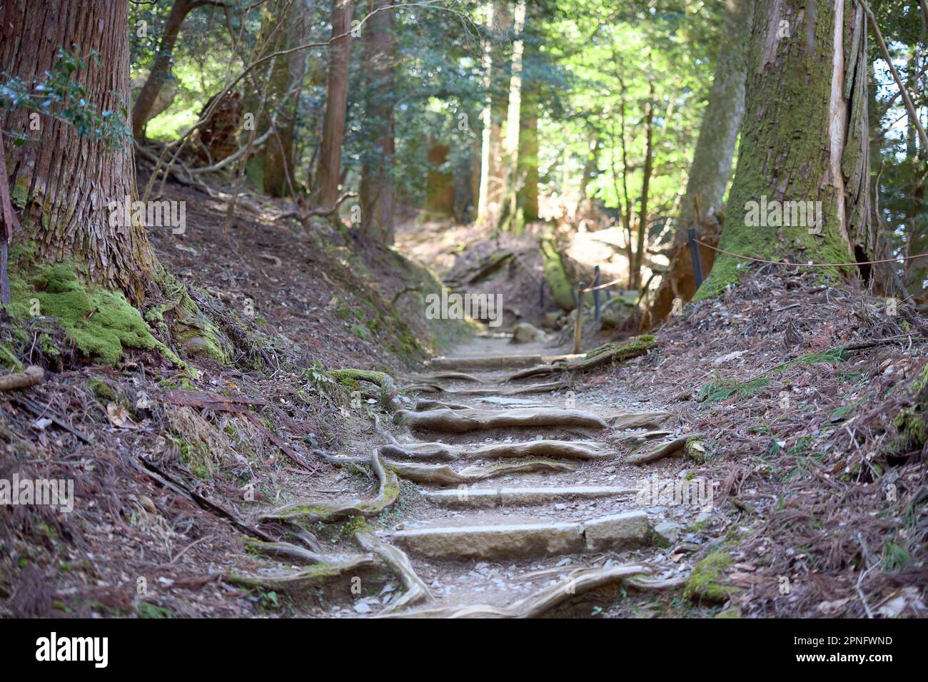 Mountain Path in Mt. Kurama, Kyoto Prefecture, Japan Stock Photo - Alamy
