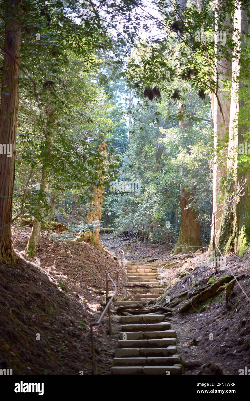 Mountain Path in Mt. Kurama, Kyoto Prefecture, Japan Stock Photo - Alamy