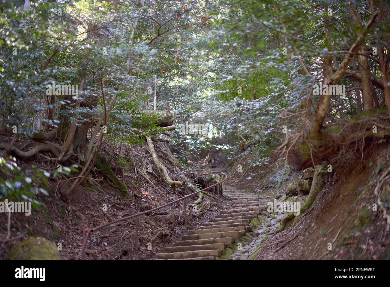 Mountain Path in Mt. Kurama, Kyoto Prefecture, Japan Stock Photo - Alamy