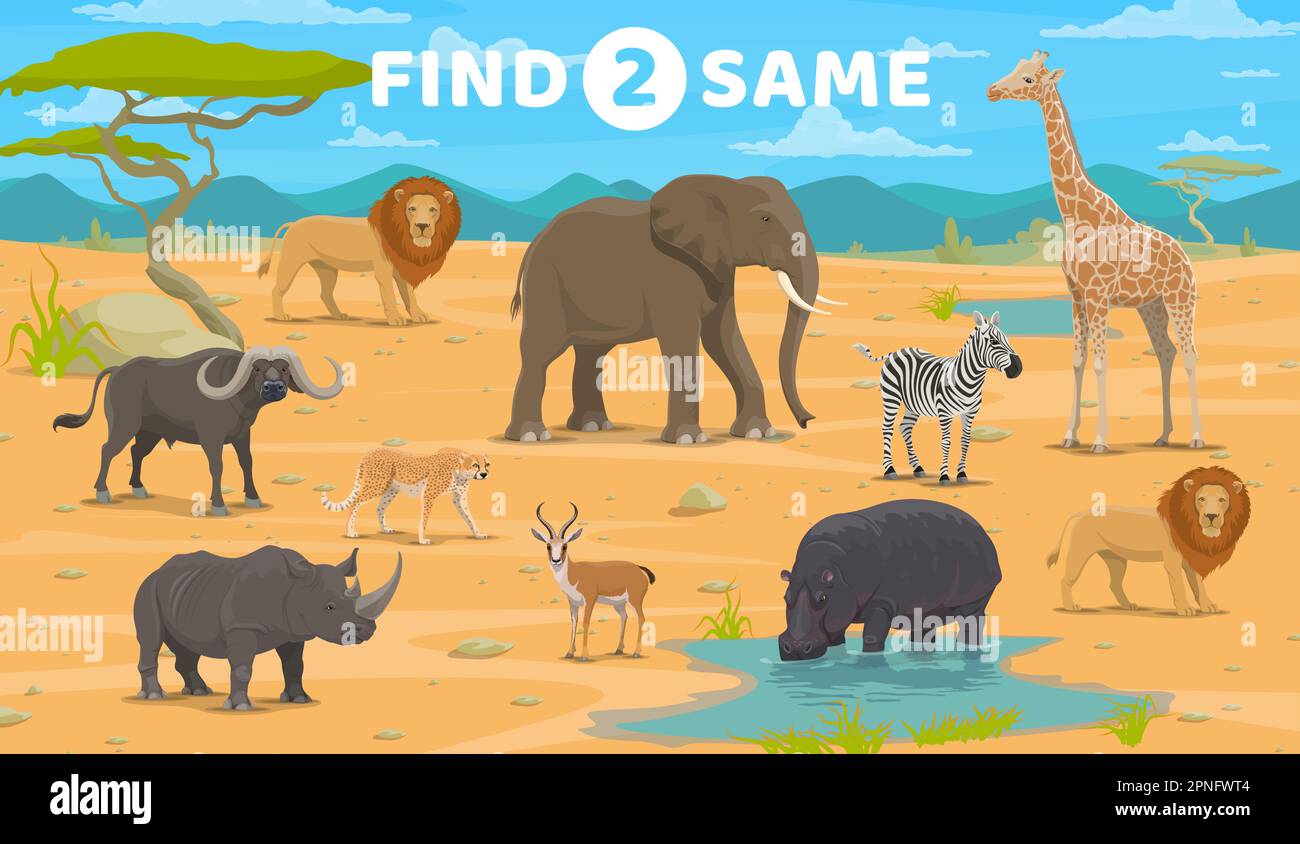 Find two same african savannah animals. Vector worksheet with zebra ...