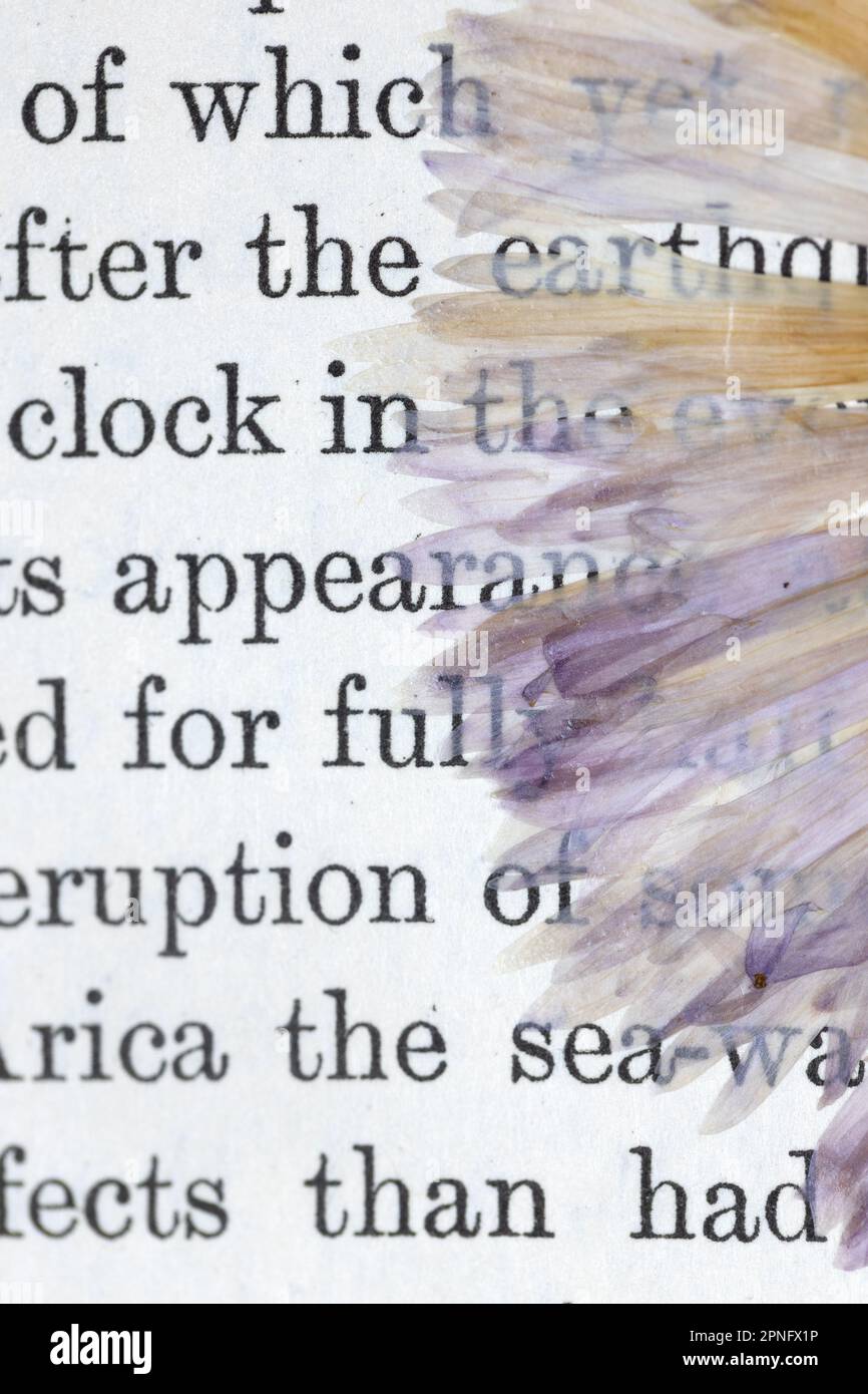 Pressed flowers in a book hi-res stock photography and images - Alamy