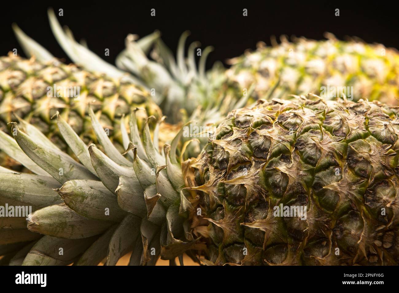 A close up studio photo of a whole pineapple laying on its side against ...