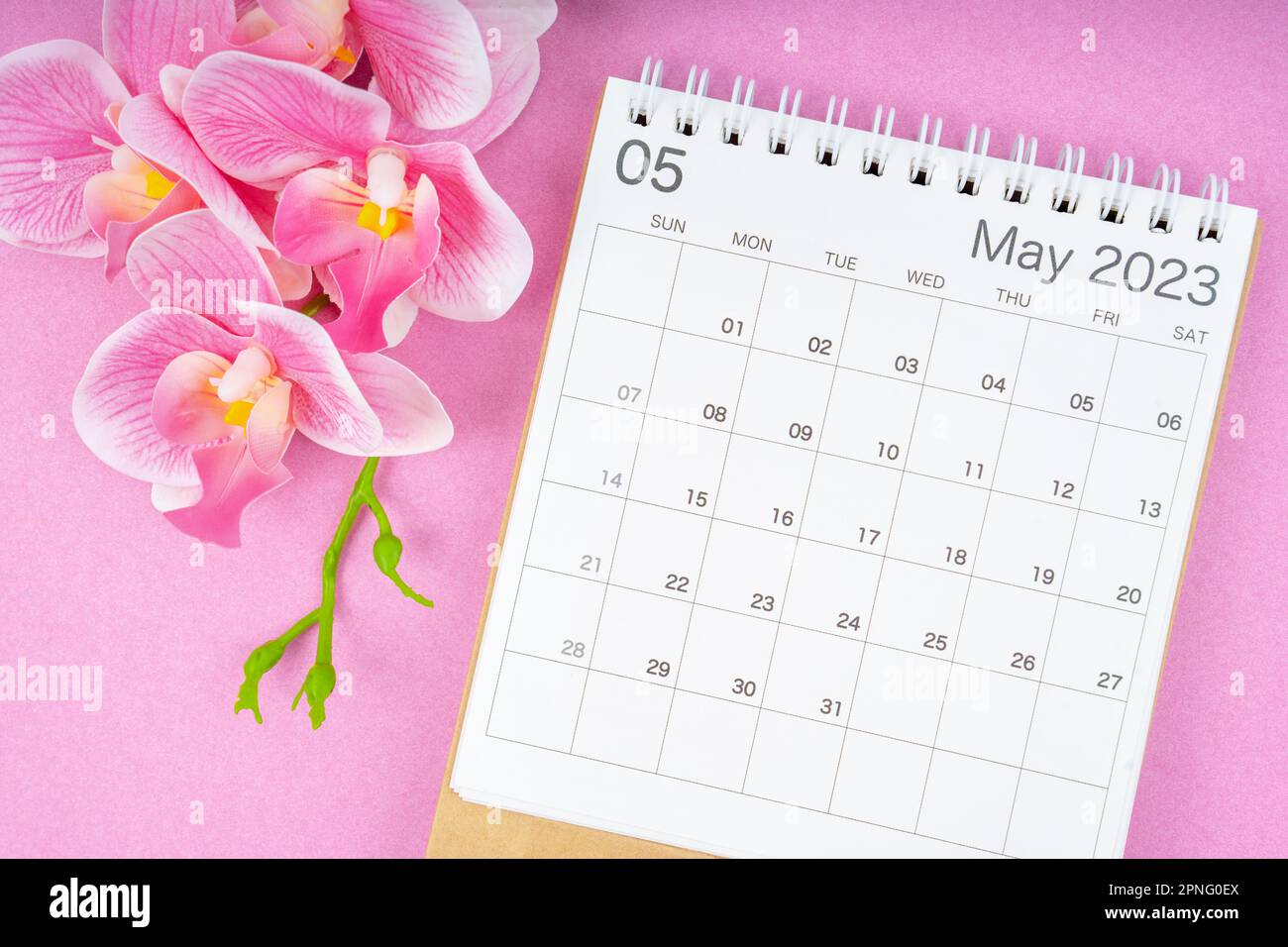 May 2023 calendar desk and pink orchid on pink color background Stock ...