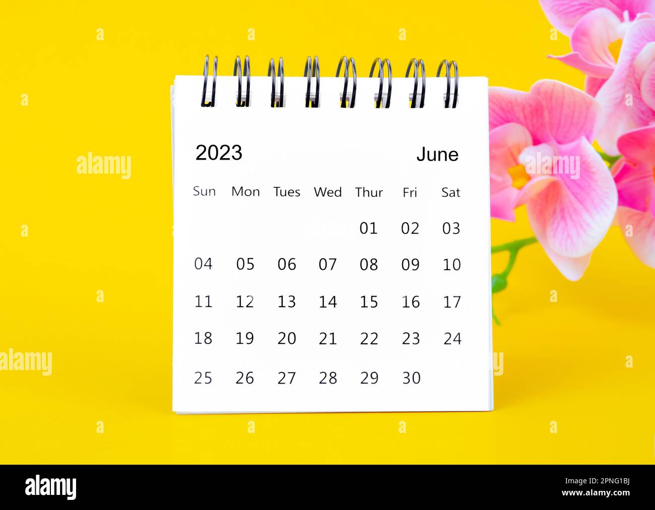 June 2023 calendar desk and pink orchid on yellow background Stock ...