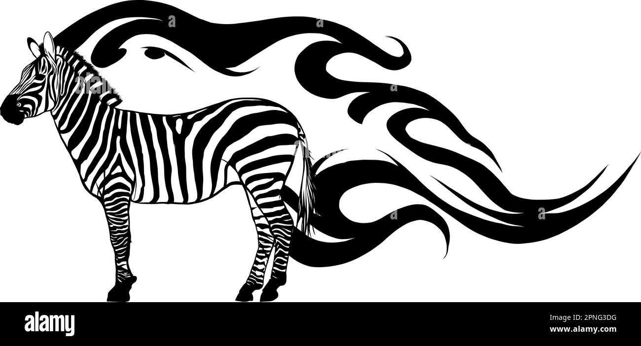 monochrome striped African Zebra, vector illustration draw Stock Vector ...