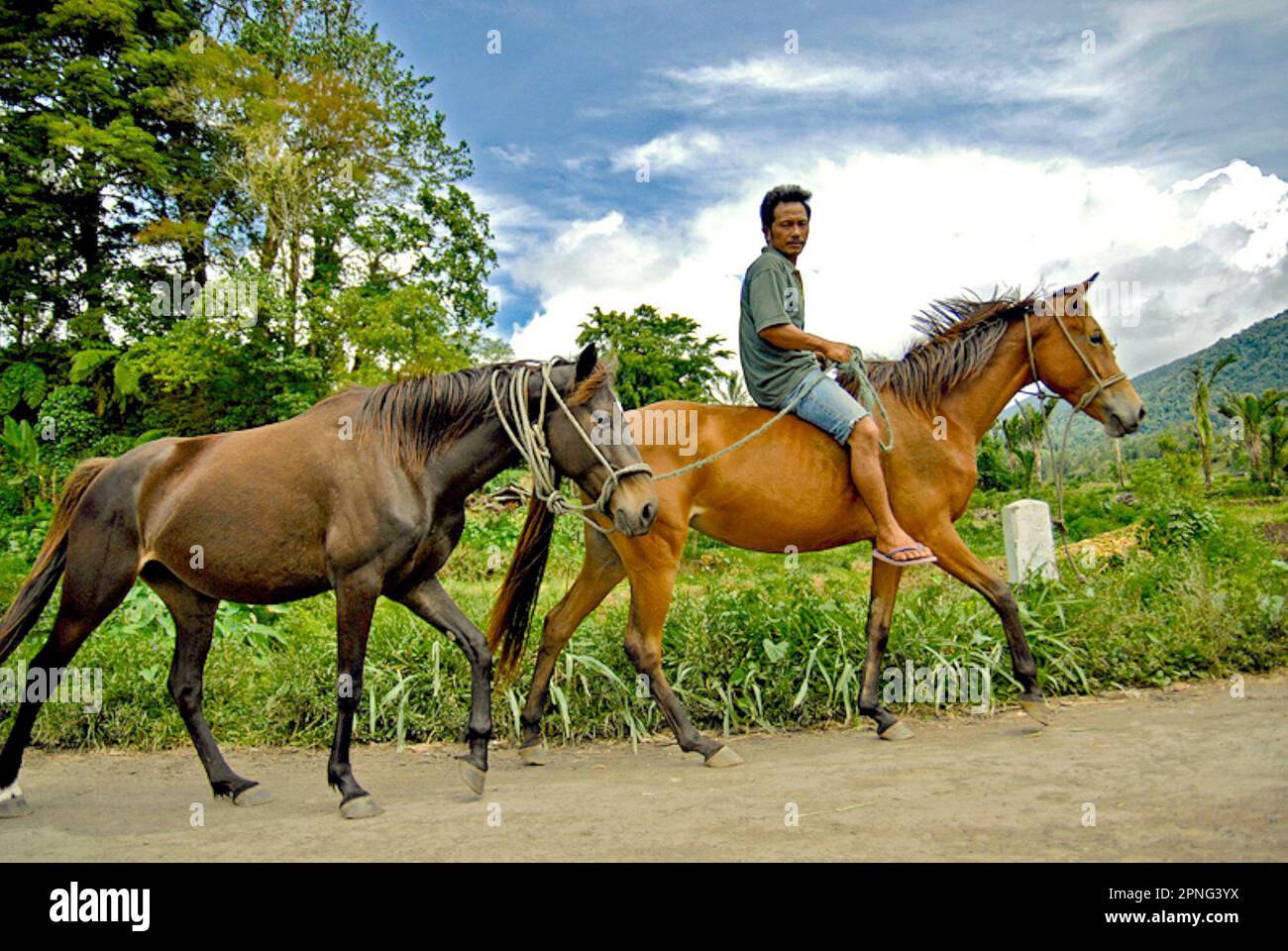 Horse leading a race hi-res stock photography and images - Alamy