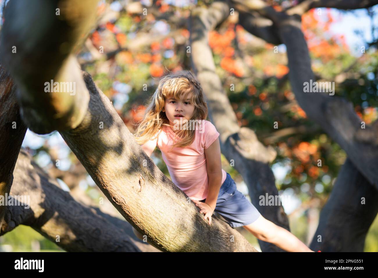 Child climbing a tree. Happy young boy play in summer garden. Kid on a ...