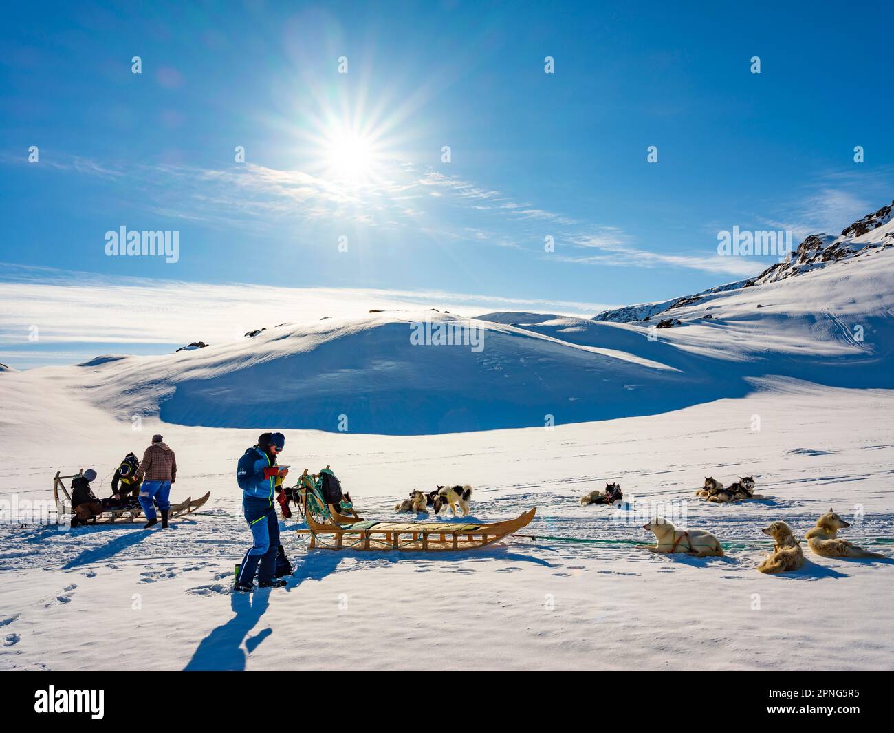 Inuit with their dog sled teams and ski tourers, Tasiilaq, Ammassalik ...
