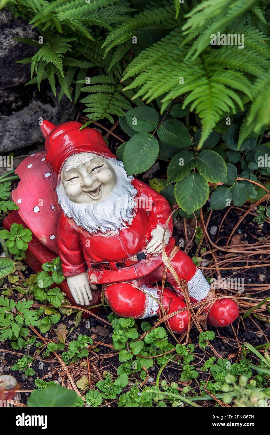 Laughing garden gnome, Bavaria, Germany Stock Photo - Alamy