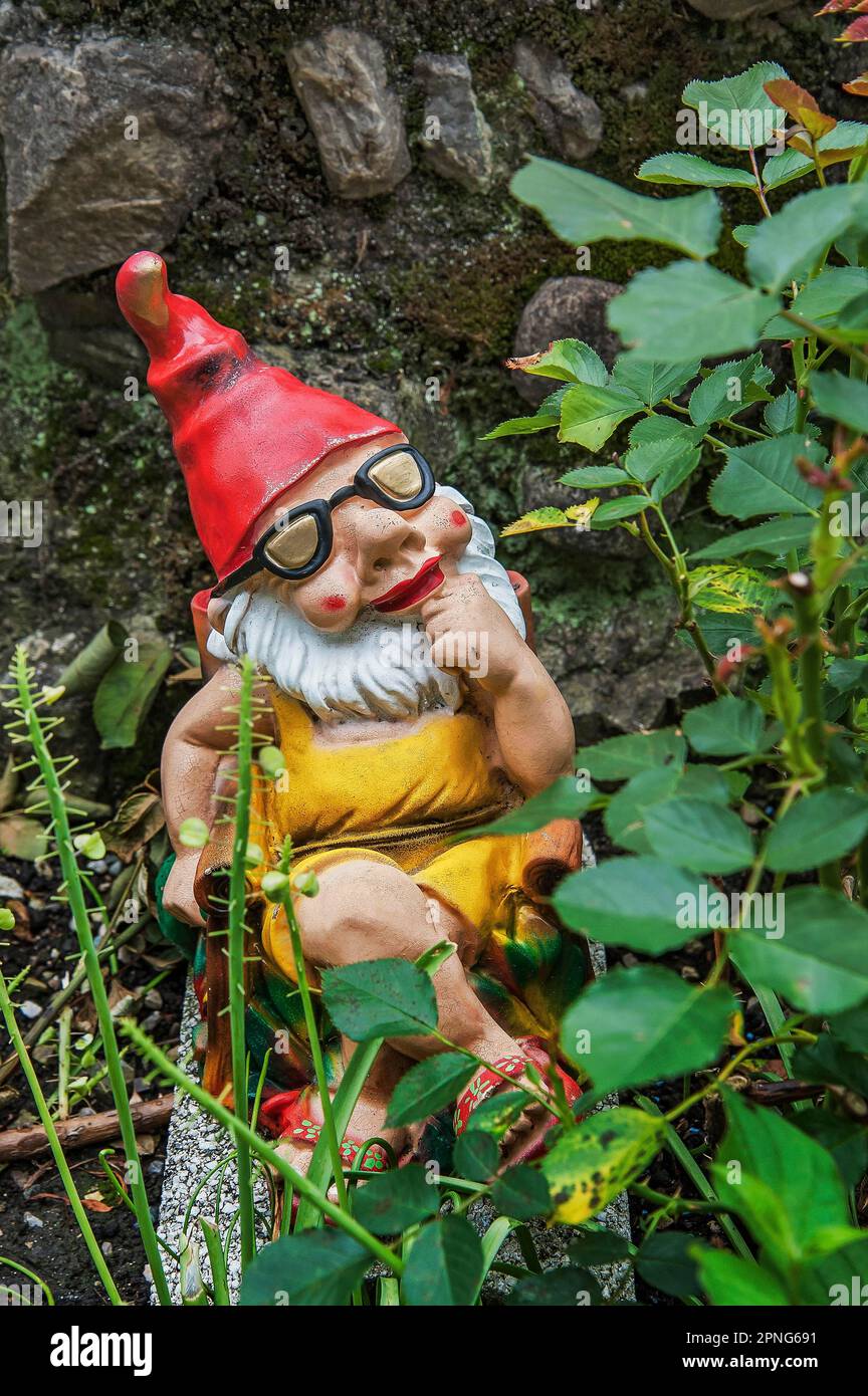 The Thinker, Garden Gnome with Glasses, Bavaria, Germany Stock Photo ...