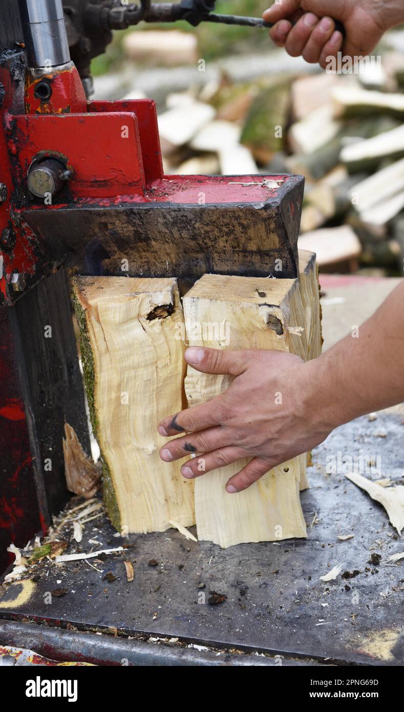 Worker making firewood with a log splitter, Germany Stock Photo - Alamy