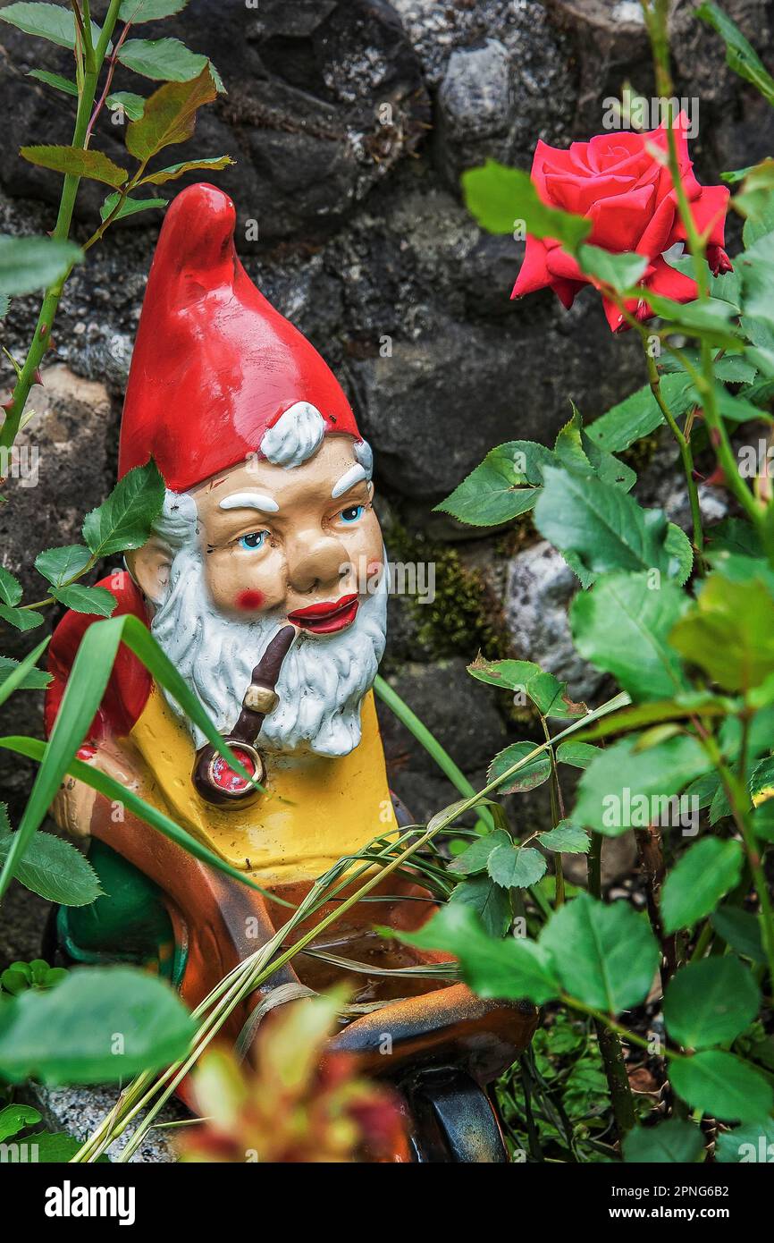 Garden gnome with pipe and wheelbarrow, Bavaria, Germany Stock Photo ...