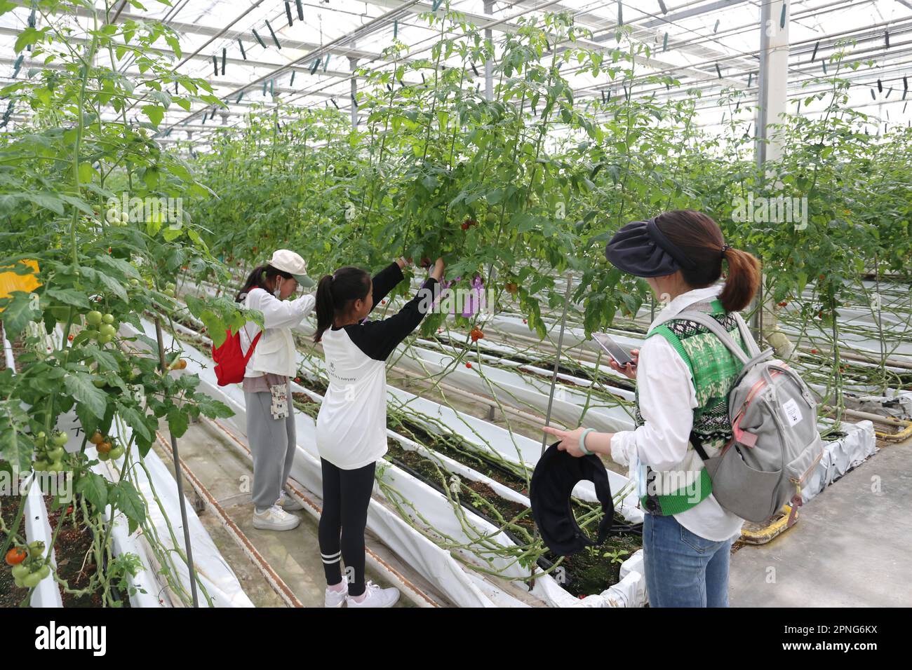 SHANGHAI, CHINA - APRIL 16, 2023 - Parents take their children to pick ...
