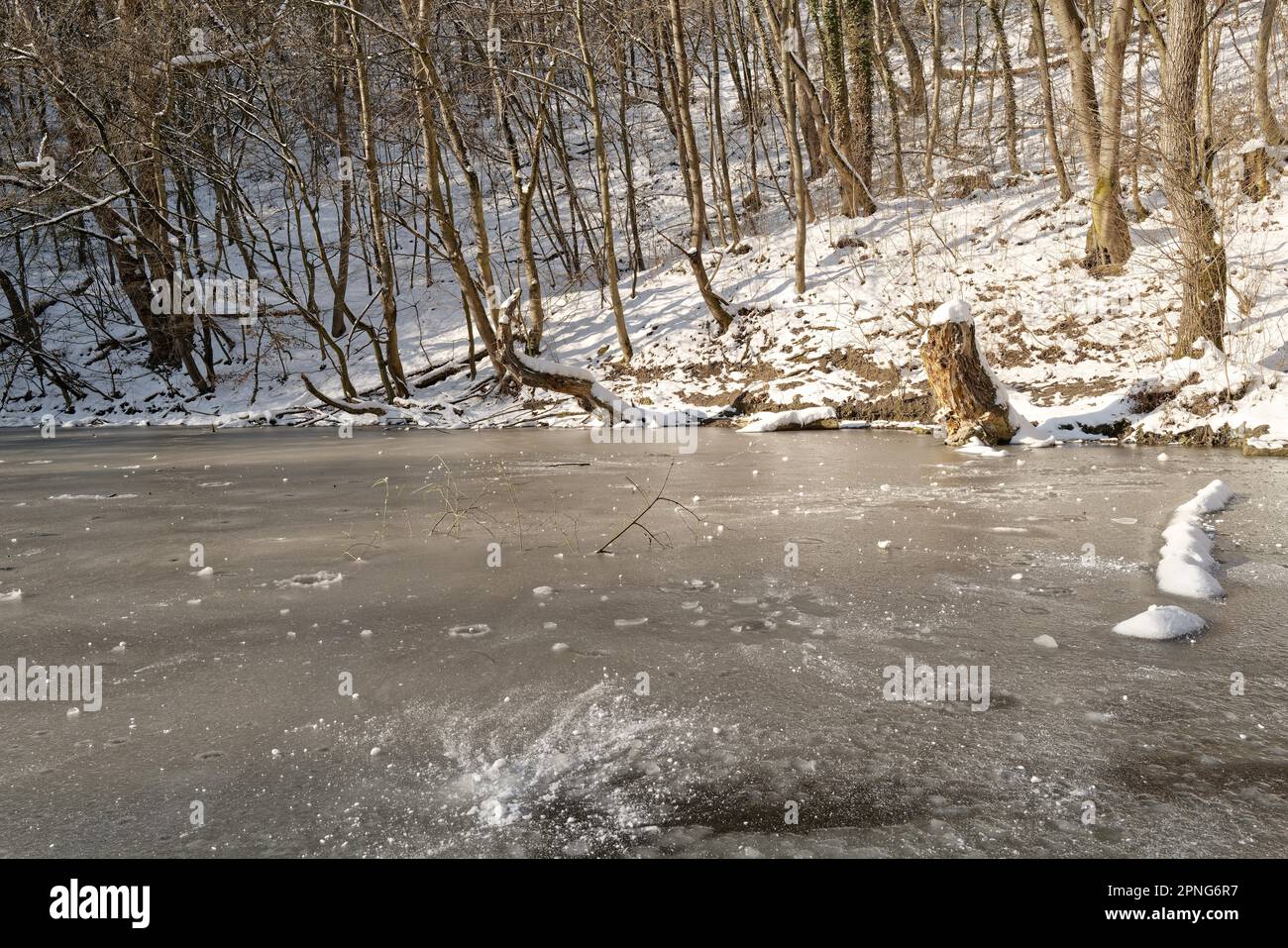 Small fish pond covered with ice in warm sunlight surrounded by snow ...
