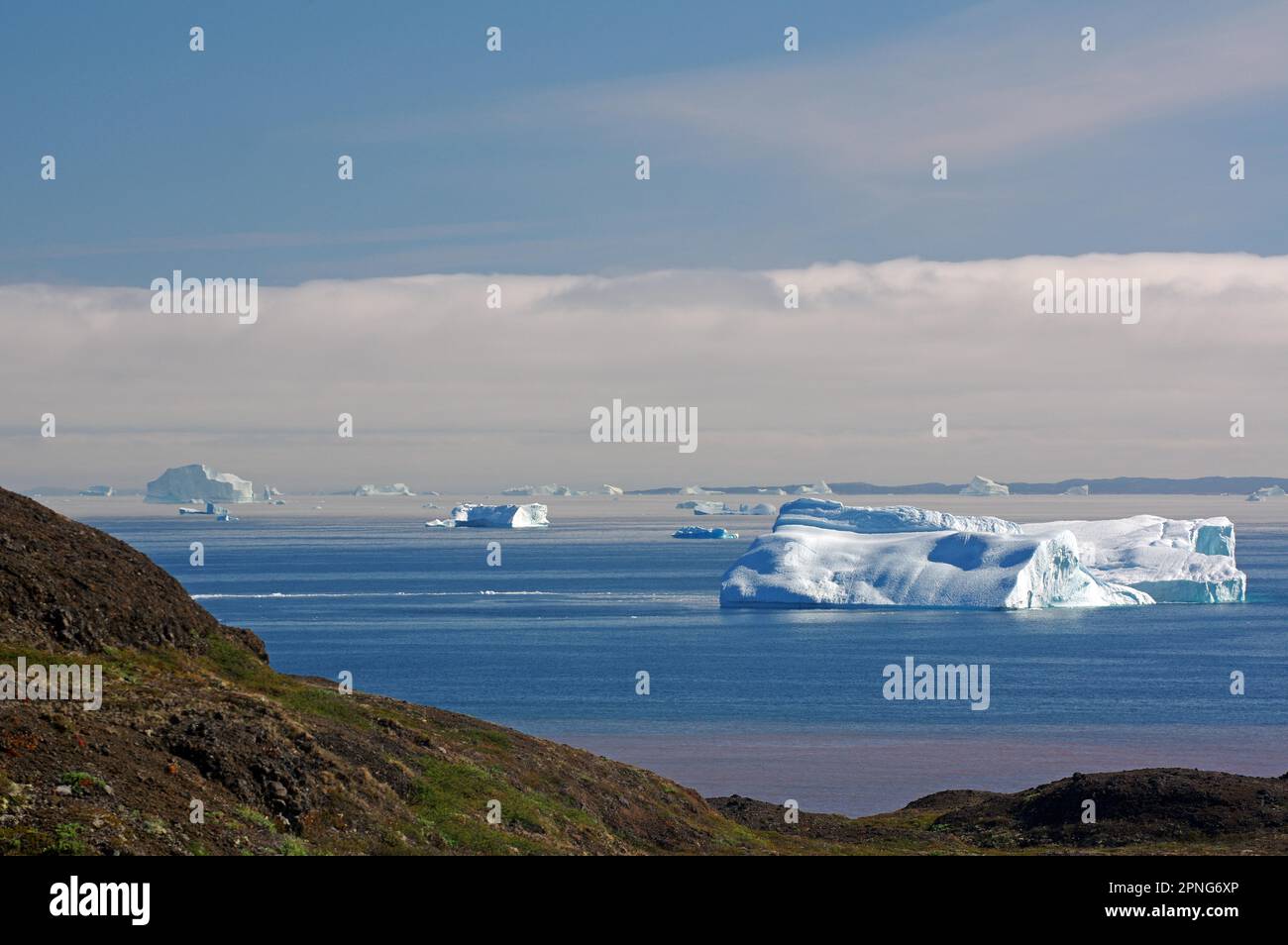 Icebergs in a wide bay, beach area of a bay that has been stained ...