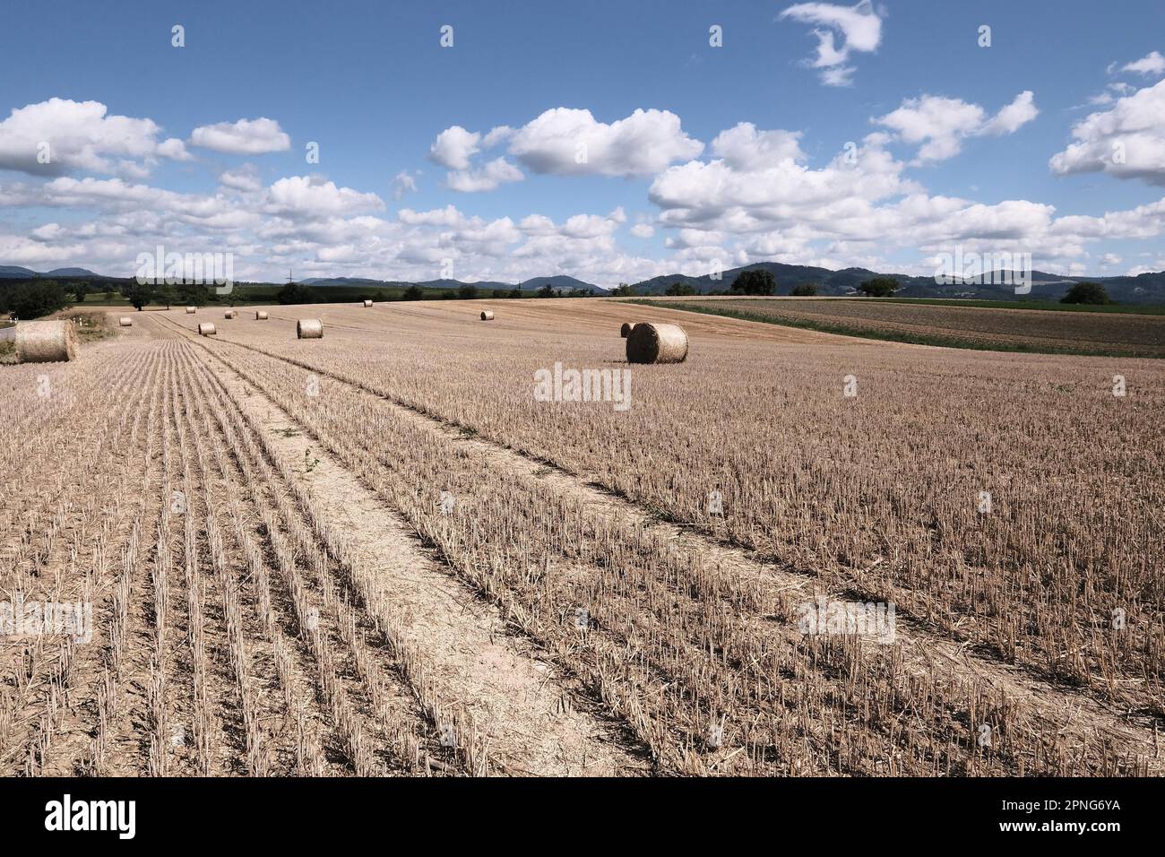 Straw harvest, Dinkelberg, Southern Germany Stock Photo - Alamy