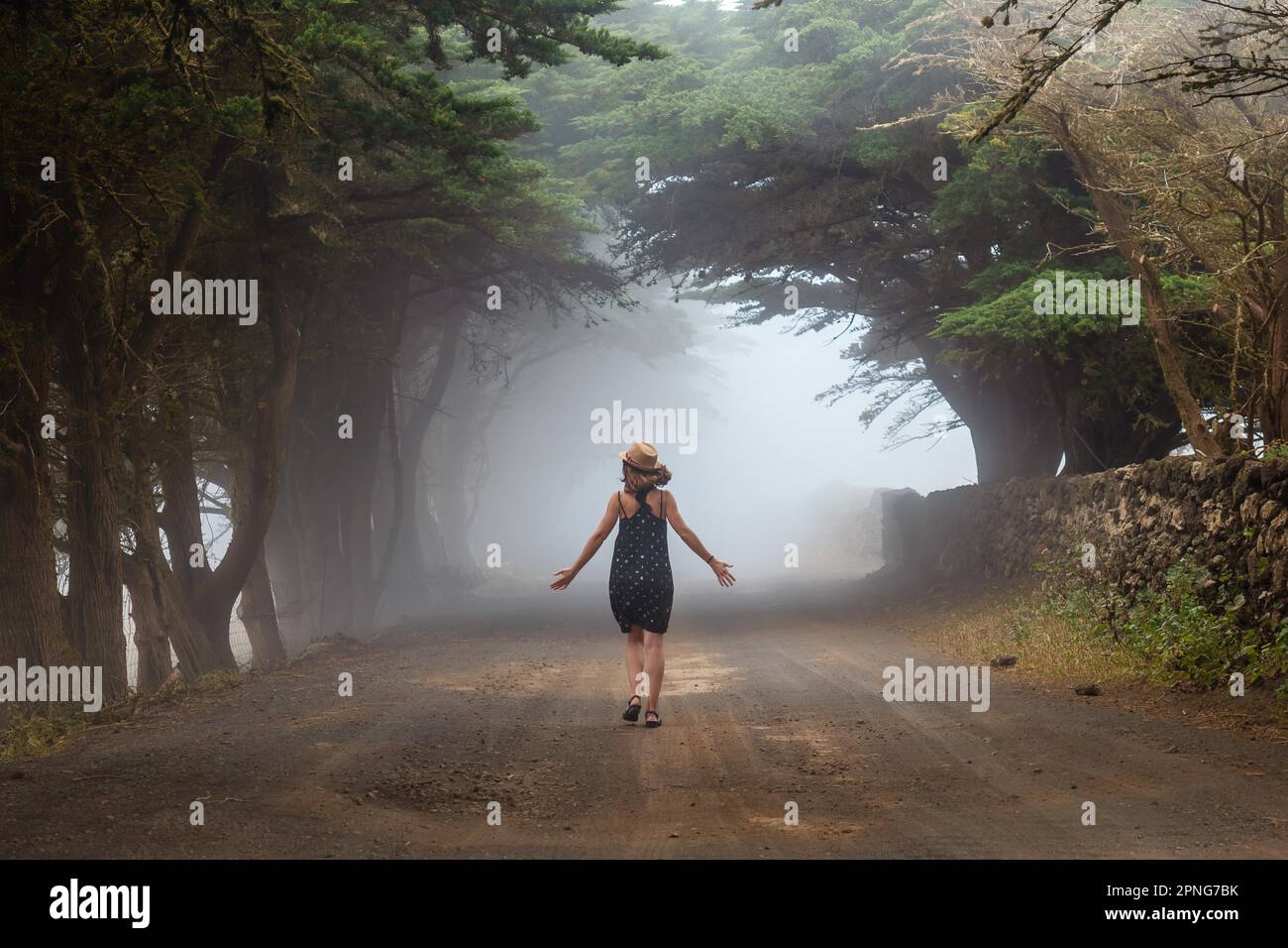 A tourist woman walking through foggy trees towards the juniper forest ...