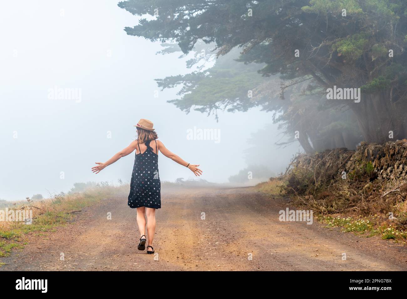 Tourist woman walking through the foggy path towards the juniper forest ...