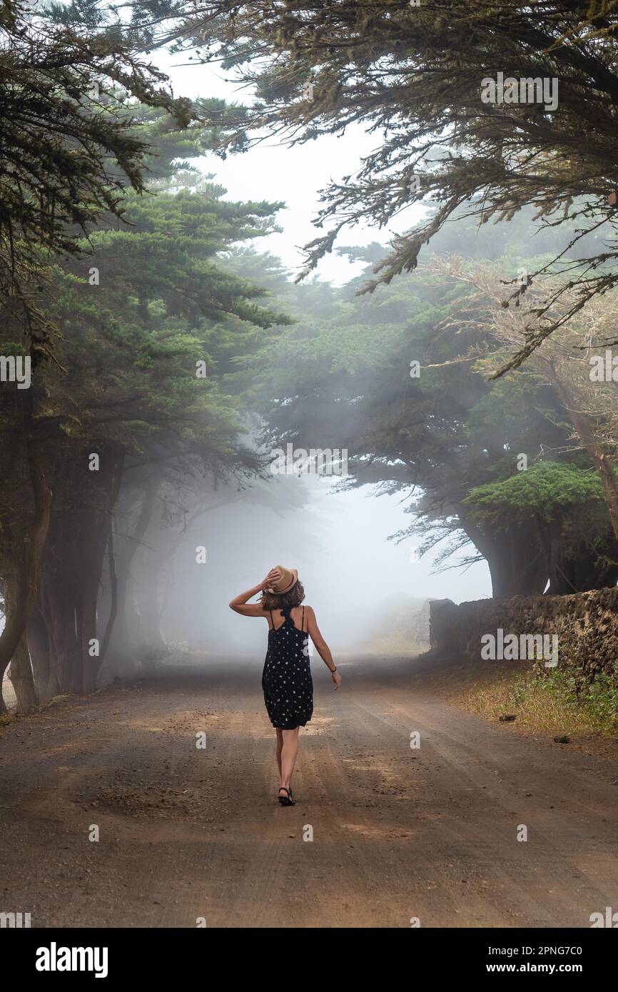 A tourist woman walking through foggy trees towards the juniper forest ...
