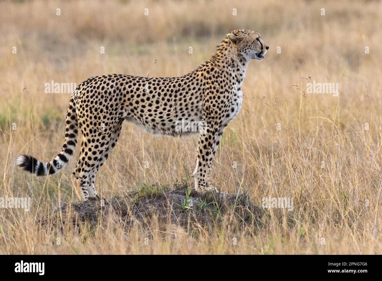 Np hill hi-res stock photography and images - Alamy